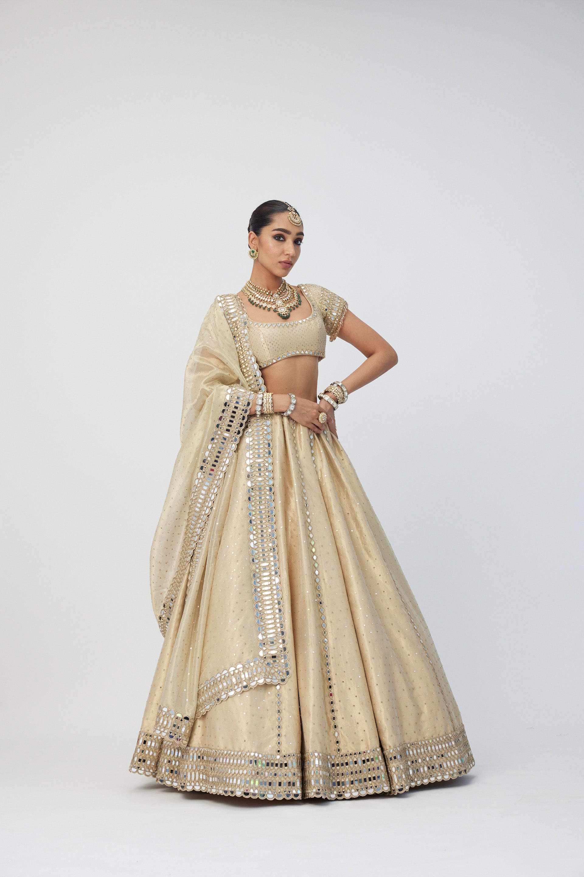 Golden Shimmer Organza Linear Lehenga Set – Melange Singapore